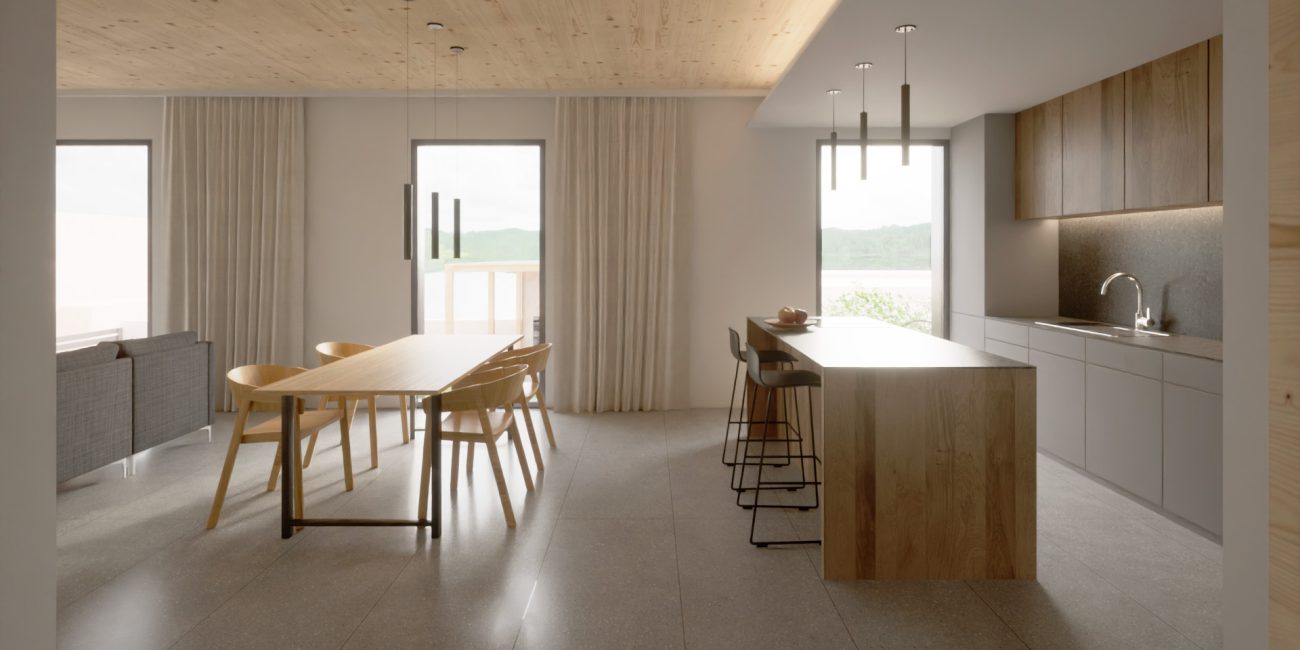 Project-Espasante House – interplay